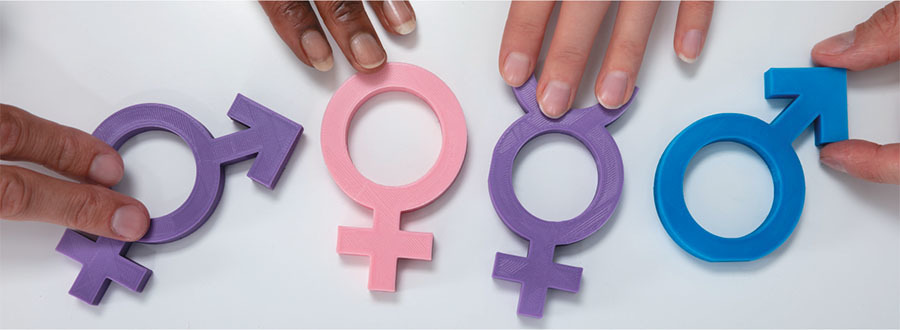 Understanding Key Concepts In Gender, Sex and Sexuality - Case ...